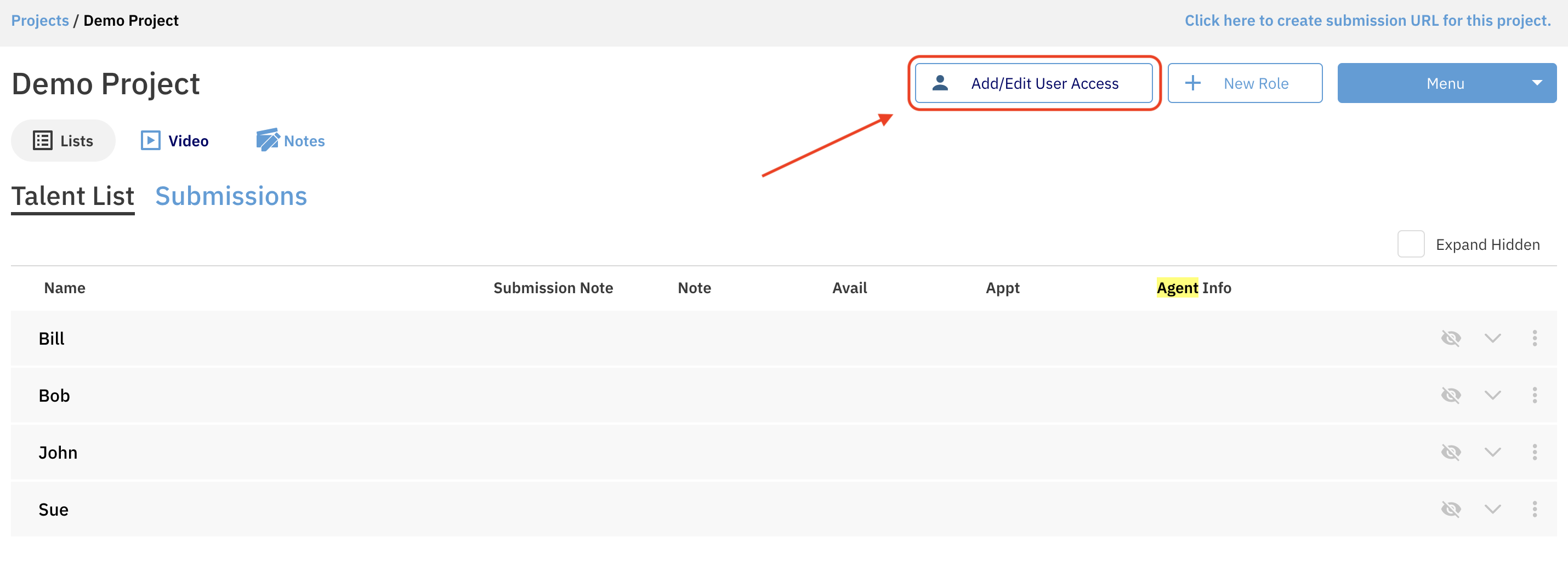 CASTING DIRECTOR: What are the different Access Levels in Cast It ...